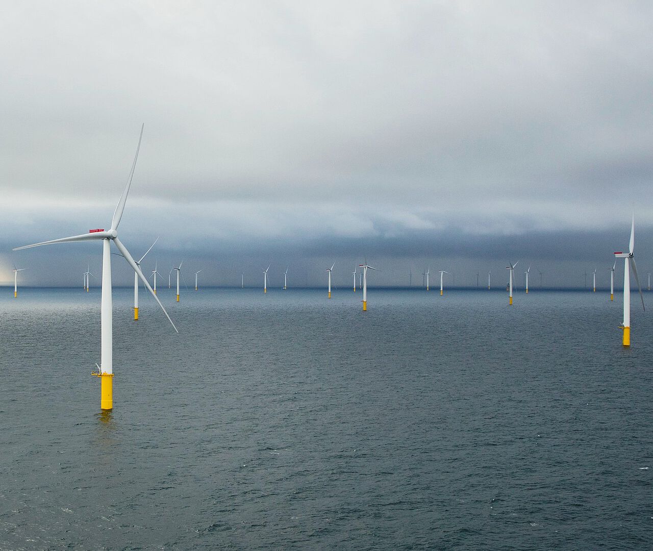 MME Group: PT level 2 (maart 2026)